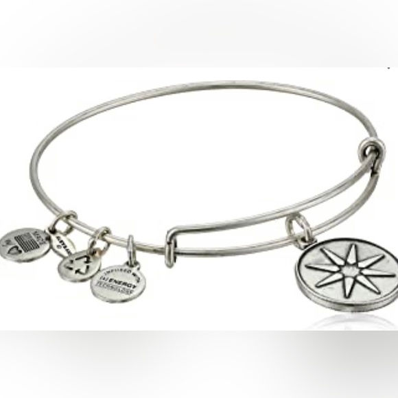 Alex and Ani | Jewelry | Alex Ani Energy Silver Rafaelian Star Of Venus ...